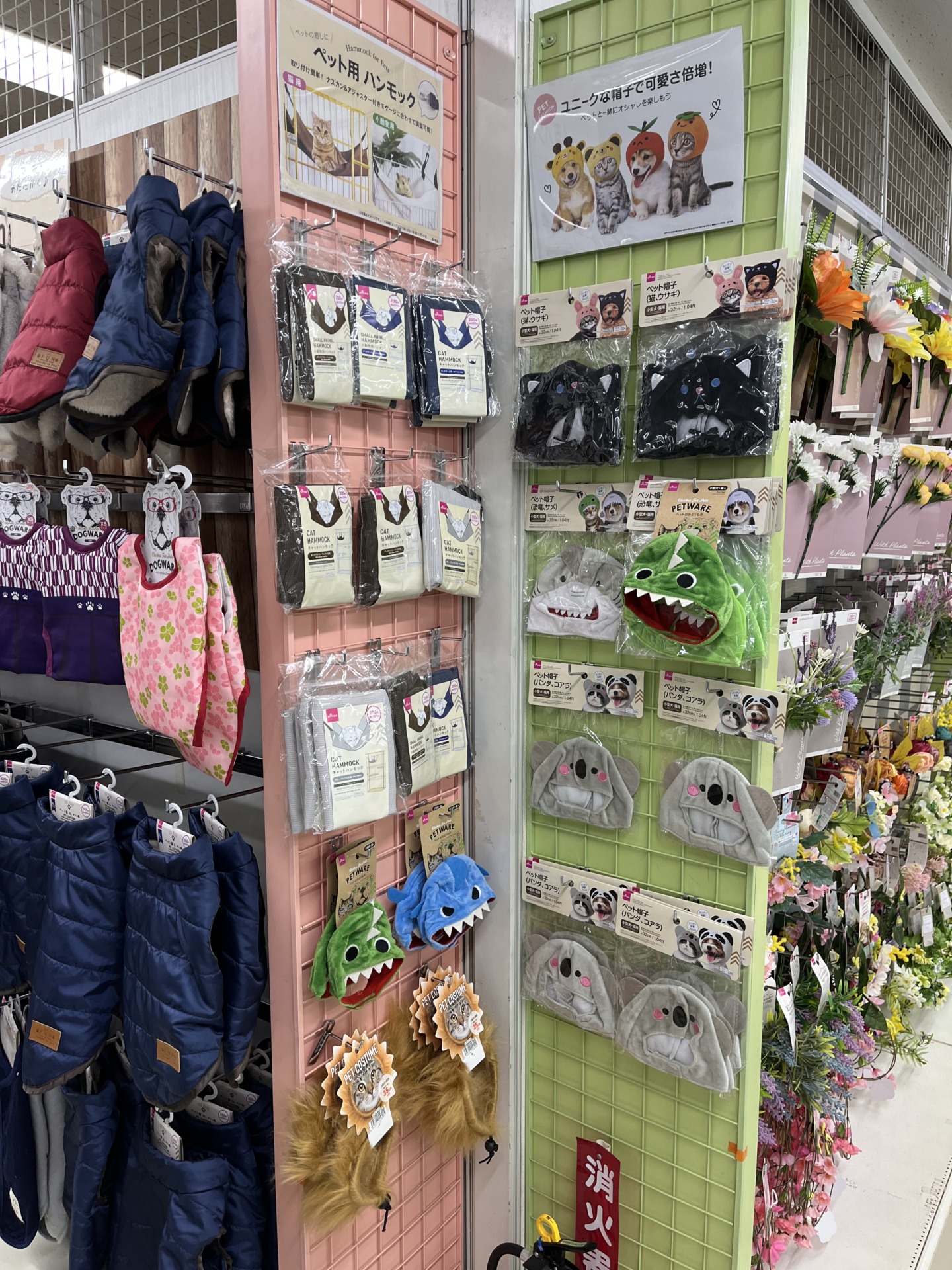 ダイソーギガ船橋店のペットコーナーにはどれほどの商品があるのか？ | からふるマカロン
